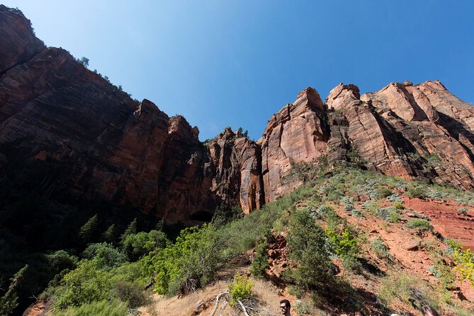 Valley of Fire & Zion Park, 1-Day Tour from Las Vegas - The Sum Up
