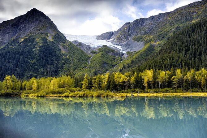 Valley of Glaciers Experience with Portage Glacier Cruise and Wildlife Tour - The Practical Side: Value, Duration & Comfort