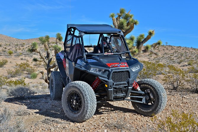 Vegas Desert RZR Adventure with Lunch at the Pioneer Saloon - Final Thoughts: Who Is This Tour Best For?