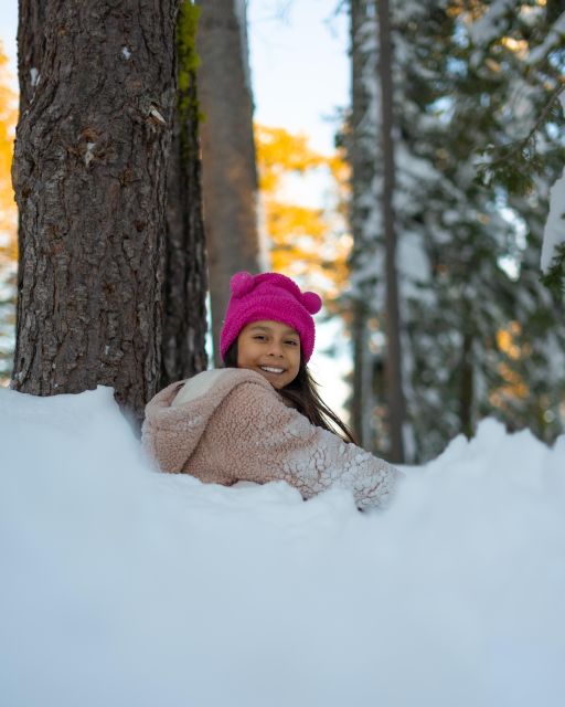 Vegas Winter Adventure: Mt. Charleston Snow Day - Key Points
