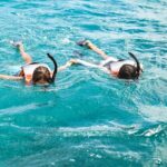 Venture Wildlife Snorkel Charter from Ko Olina - Price and Value