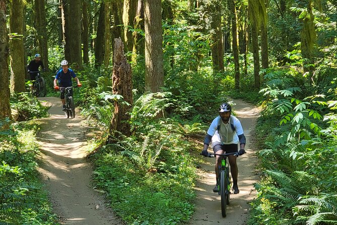 Viator Exclusive - Half Day Mountain Bike Tour from Seattle - The Journey: What to Expect from This Mountain Bike Tour