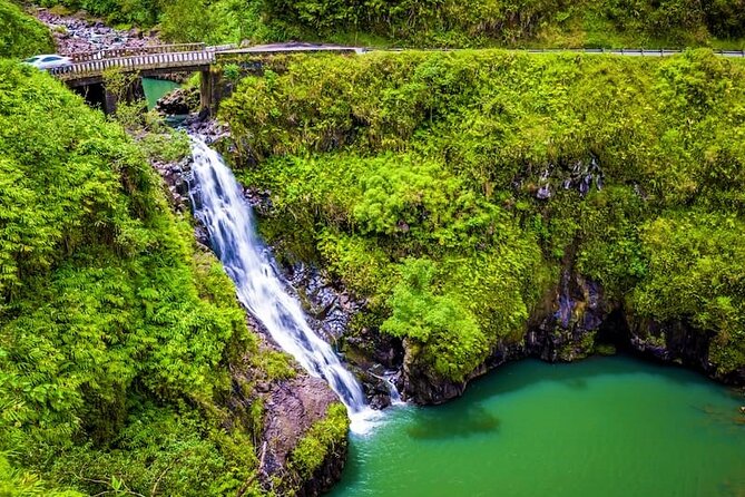 Viator Exclusive: Maui Tropical Rainforest Small Group Tour - An In-Depth Look at the Maui Tropical Rainforest Small Group Tour  