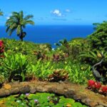 Viator Exclusive: Maui Tropical Rainforest Small Group Tour - What Makes This Tour Stand Out?