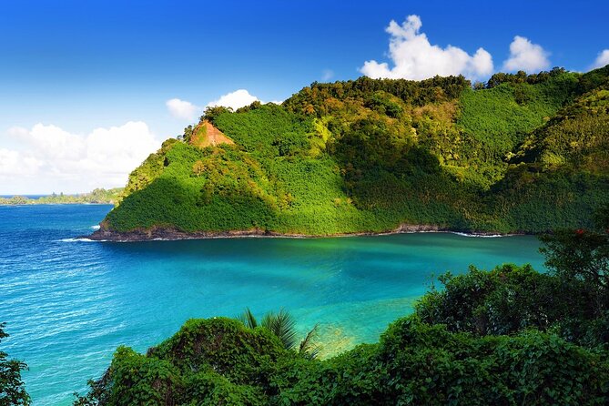 Viator Exclusive: Maui Tropical Rainforest Small Group Tour - The Sum Up  