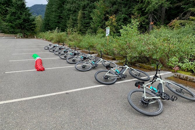 Viator Exclusive-Snoqualmie Tunnel MTN Bike Tour from Seattle - What to Expect Along the Trail
