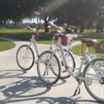 Village Bicycle Rental Free Delivery in The Villages Florida - Who Should Consider This Experience?