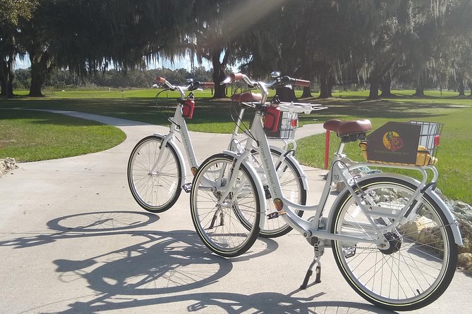 Village Bicycle Rental Free Delivery in The Villages Florida - Who Should Consider This Experience?