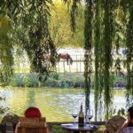 Vineyard Wine Tasting Tour - Key Points