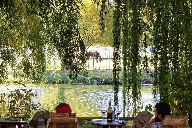 Vineyard Wine Tasting Tour - Key Points