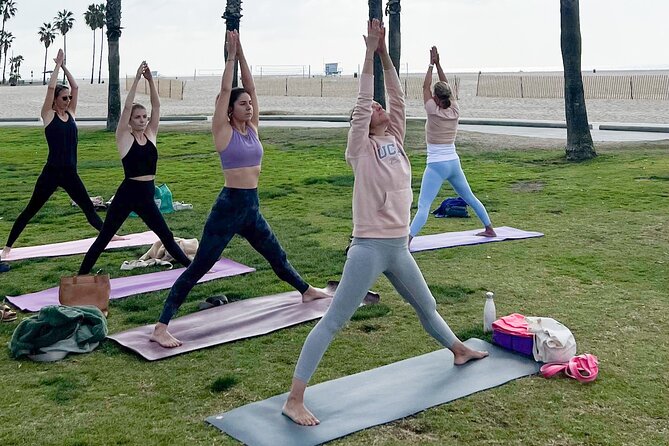 Vinyasa Yoga Class on the Beach in Santa Monica in French - The Experience in Detail