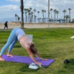 Vinyasa Yoga Class on the Beach in Santa Monica in French - Value and Pricing