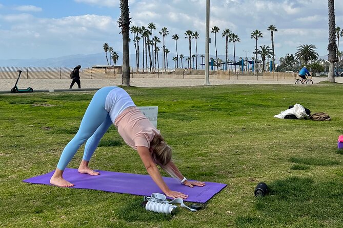 Vinyasa Yoga Class on the Beach in Santa Monica in French - Value and Pricing