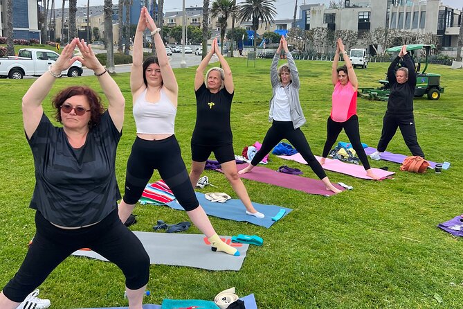 Vinyasa Yoga Class on the Beach in Santa Monica in French - Final Thoughts