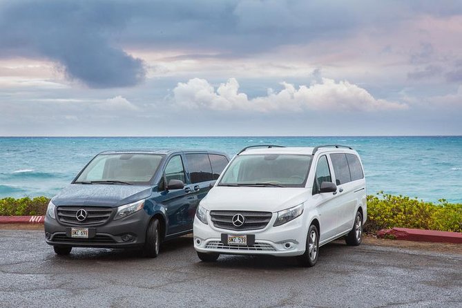 VIP Aloha Style Private Island Tour - A Deep Dive into the Experience