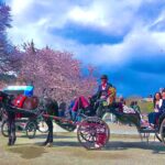 VIP Central Park Champagne Tour with Photos(50 min)~Skip the line - Authentic Experiences and Highlights from Reviews
