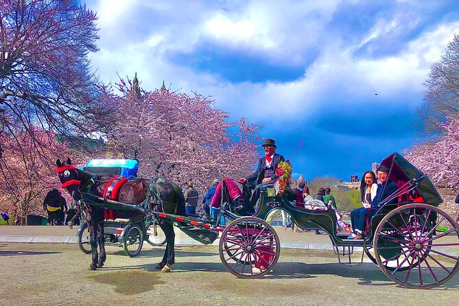 VIP Central Park Champagne Tour with Photos(50 min)~Skip the line - Authentic Experiences and Highlights from Reviews