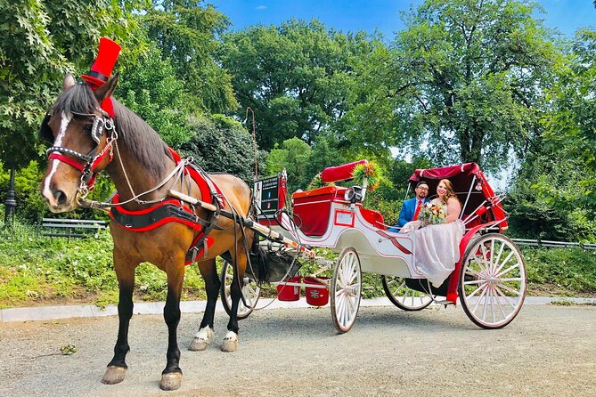 VIP Central Park Champagne Tour with Photos(50 min)~Skip the line - FAQs