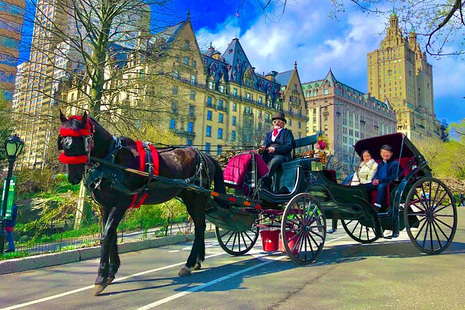 VIP Central Park Experience Tour with photos 50min~Skip the line - Final Thoughts