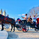 VIP Central Park Experience Tour with photos 50min~Skip the line - FAQ