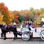 VIP Horse Carriage Ride through Central Park (Up to 4 Adults) - The Sum Up