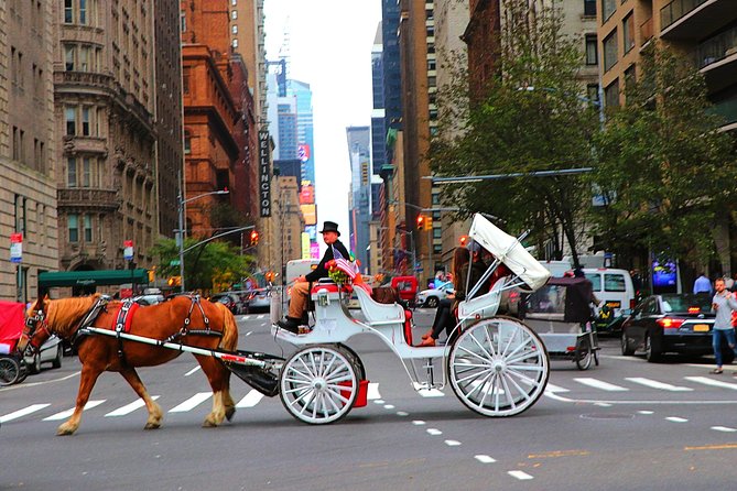 VIP Horse Carriage Ride through Central Park (Up to 4 Adults) - FAQ