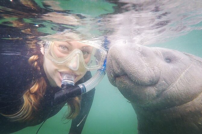 VIP Private Boat Manatee Snorkel Tour with In-Water Guide and Photograper - Key Points