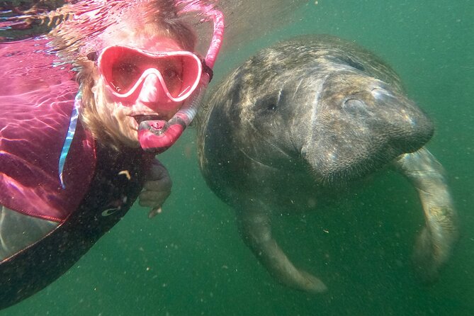 VIP Private Boat Manatee Snorkel Tour with In-Water Guide and Photograper - The Itinerary in Detail