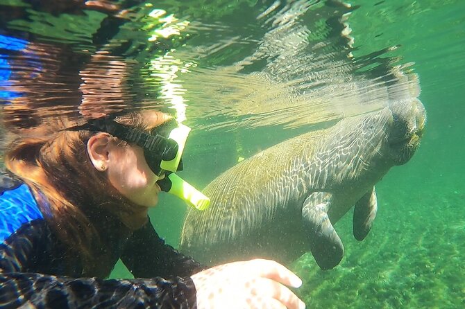 VIP Private Boat Manatee Snorkel Tour with In-Water Guide and Photograper - The Guides: Making the Difference