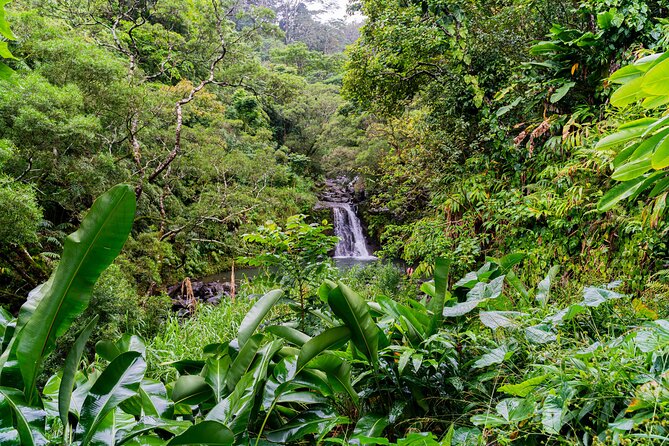 VIP Private Full-Day Road to Hana Tour from Lahaina-Kapalua - In-Depth Look at the Maui Road to Hana Tour