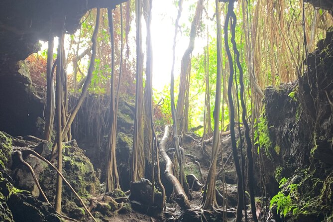 VIP Private Full-Day Road to Hana Tour from Lahaina-Kapalua - Frequently Asked Questions