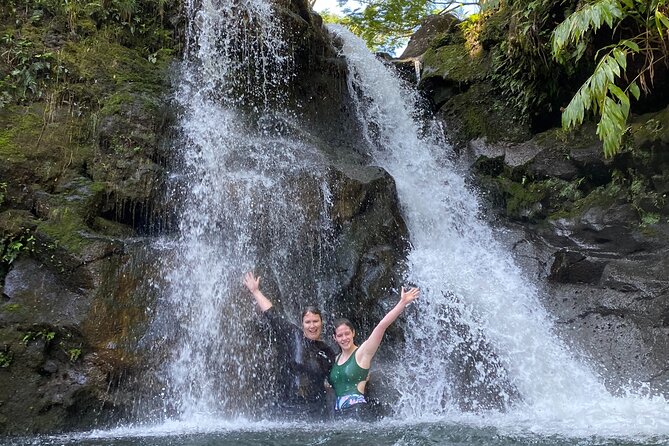 VIP Private Full-Day Road to Hana Tour from Wailea - Kihei - Practical Details and Value