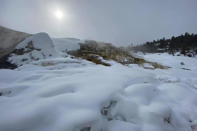 VIP Private North Yellowstone National Park Winter Excursion - The Itinerary in Detail