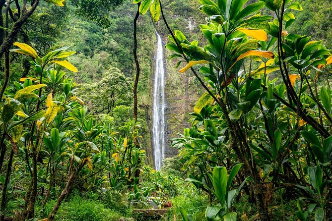 VIP Private Road to Hana Tour with Pick Up - Practical Details