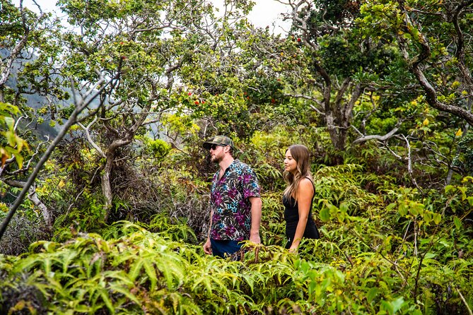 VIP Private Road to Hana Tour with Pick Up - Final Thoughts: Is It Worth It?