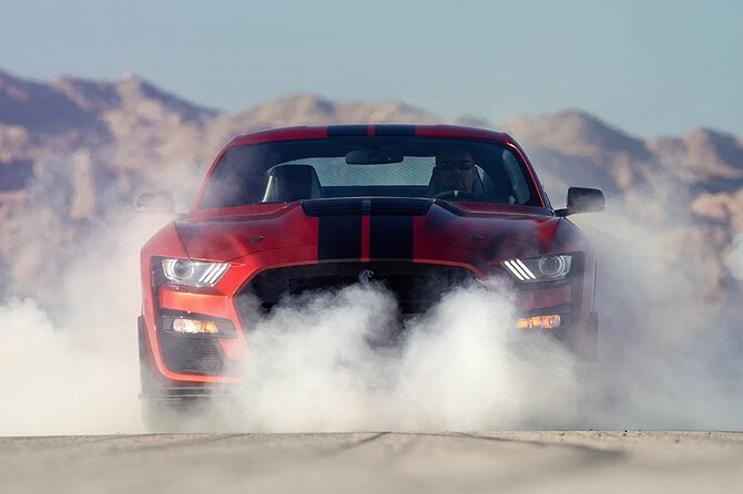 VIP Tour of the Shelby American Experience in Las Vegas - Who Should Book This Tour?