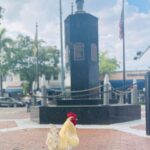 VIP Walking Tour of Little Havana - FAQ