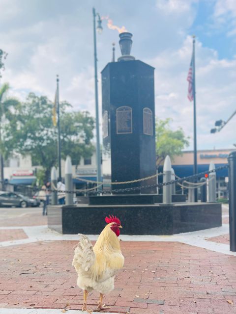 VIP Walking Tour of Little Havana - FAQ