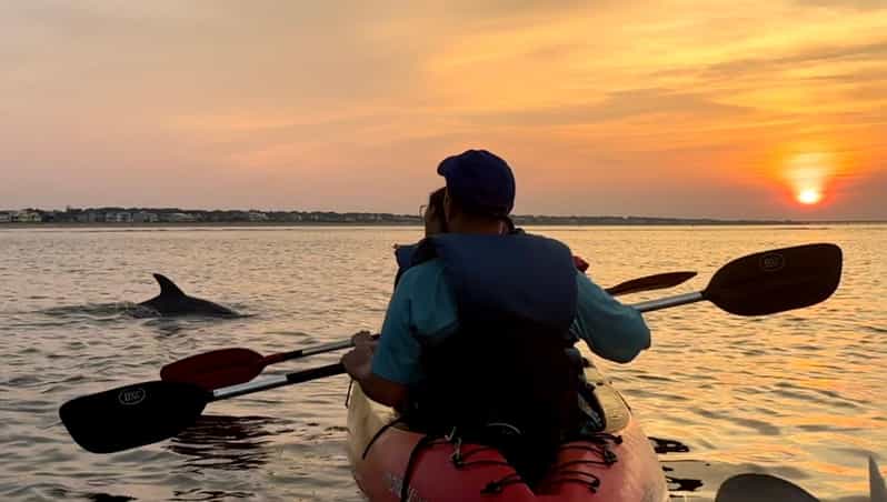 Virginia Beach: Dolphin Kayak Tour: This is a Workout! - Practical Details and Tips