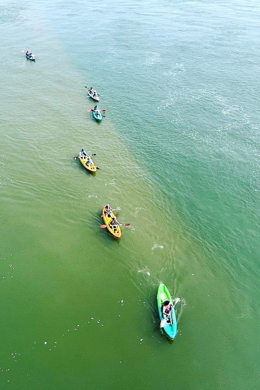 Virginia Beach: Dolphin Kayak Tour: This is a Workout! - Authentic Experiences from Past Participants
