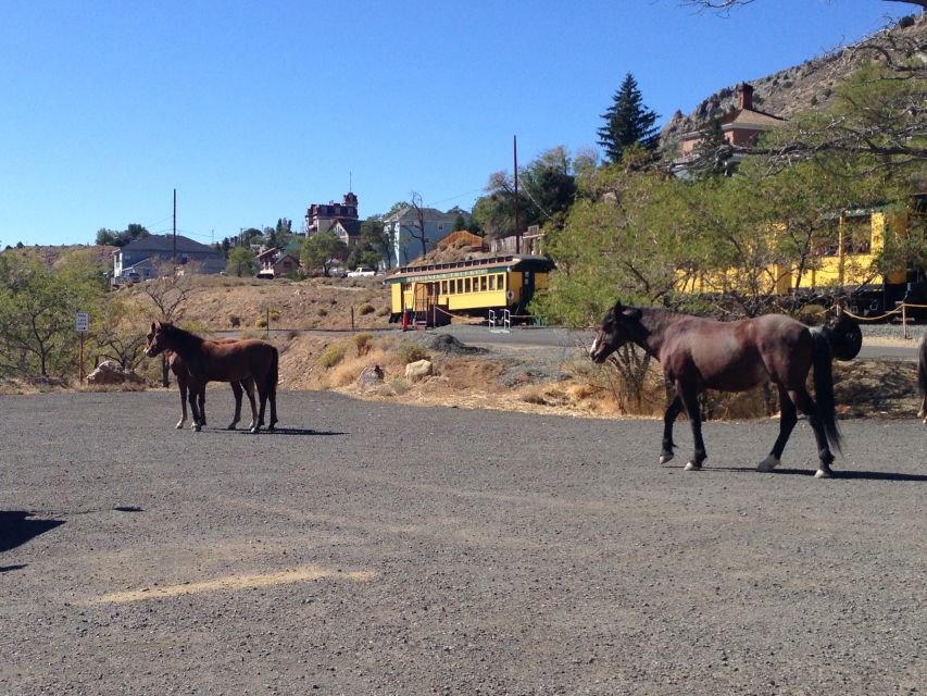 Virginia City Day Tour From Lake Tahoe - Practical Details: What You Need to Know