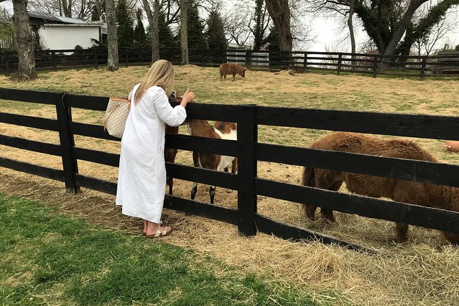 Virginia Wineries Guided Tour & Tastings from Washington DC - Key Points
