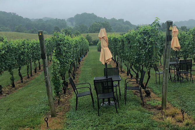 Virginia Winery Excursion By Luxury Vehicle 2-Wineries - Key Points