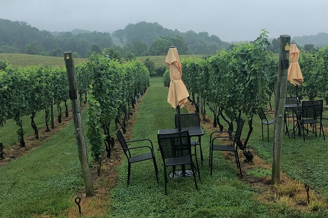 Virginia Winery Excursion By Luxury Vehicle 2-Wineries - The First Winery: The Cottage At Barrel Oak Winery