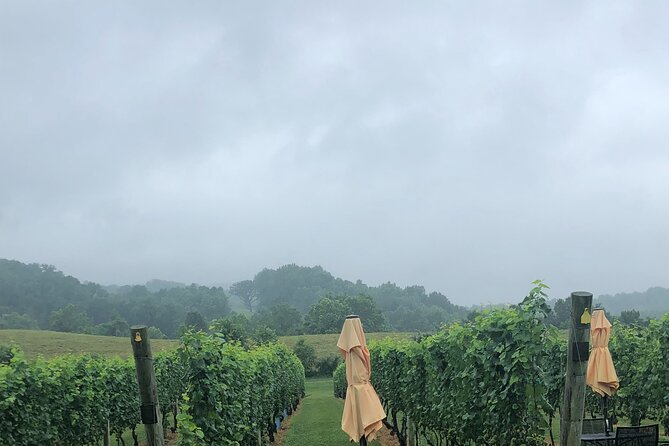 Virginia Winery Excursion by Luxury Vehicle Three wineries - What’s Included and What’s Not