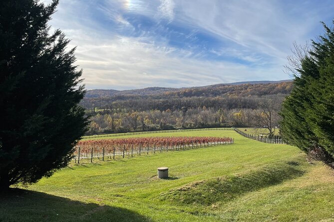 Virginia Winery Excursion by Luxury Vehicle Three wineries - Practical Considerations