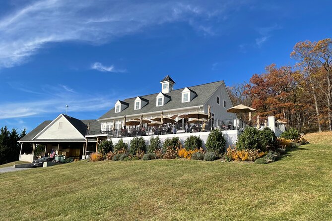 Virginia Winery Excursion by Luxury Vehicle Three wineries - Who Will Enjoy This Experience