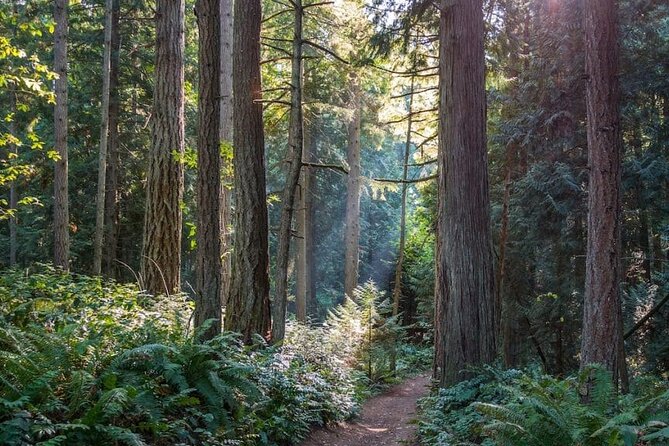 Visit Snoqualmie and Hike to Twin Falls (Transportation included) - The Sum Up