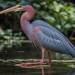 Visit the Everglades in French with Transfer and 1h30 Airboat - Final thoughts
