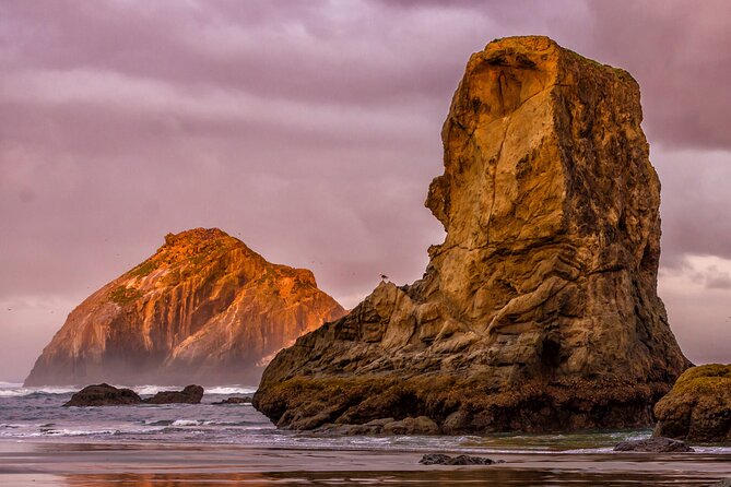 Visit the Oregon Coast from Willamette Valley - Why This Tour Offers Great Value